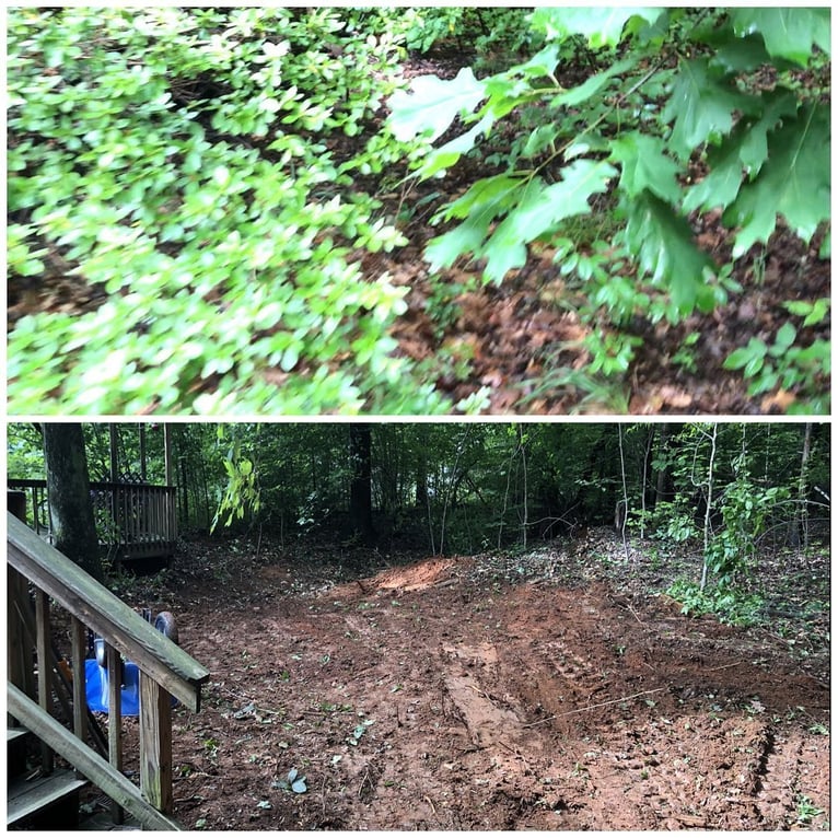 5 Key Benefits of Lot Clearing You Didn't Know About